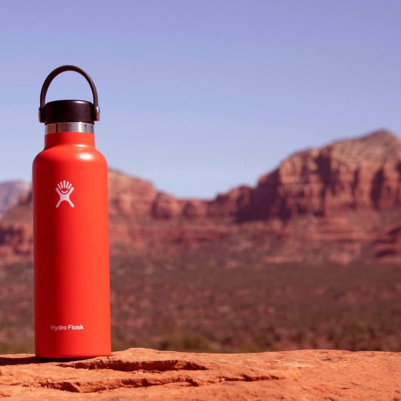 HYDROFLASK 21 OZ STANDARD MOUTH GOJI Bouteilles isotherme