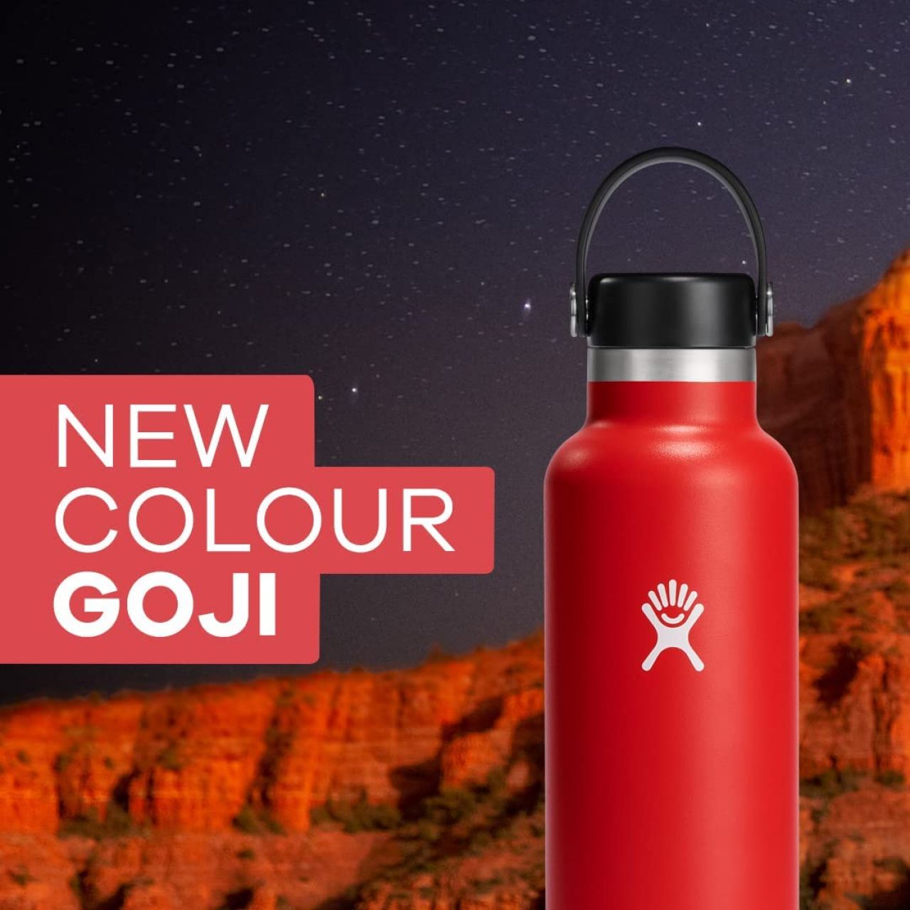HYDROFLASK 21 OZ STANDARD MOUTH GOJI Bouteilles isotherme